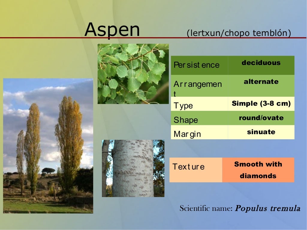 Classification of trees