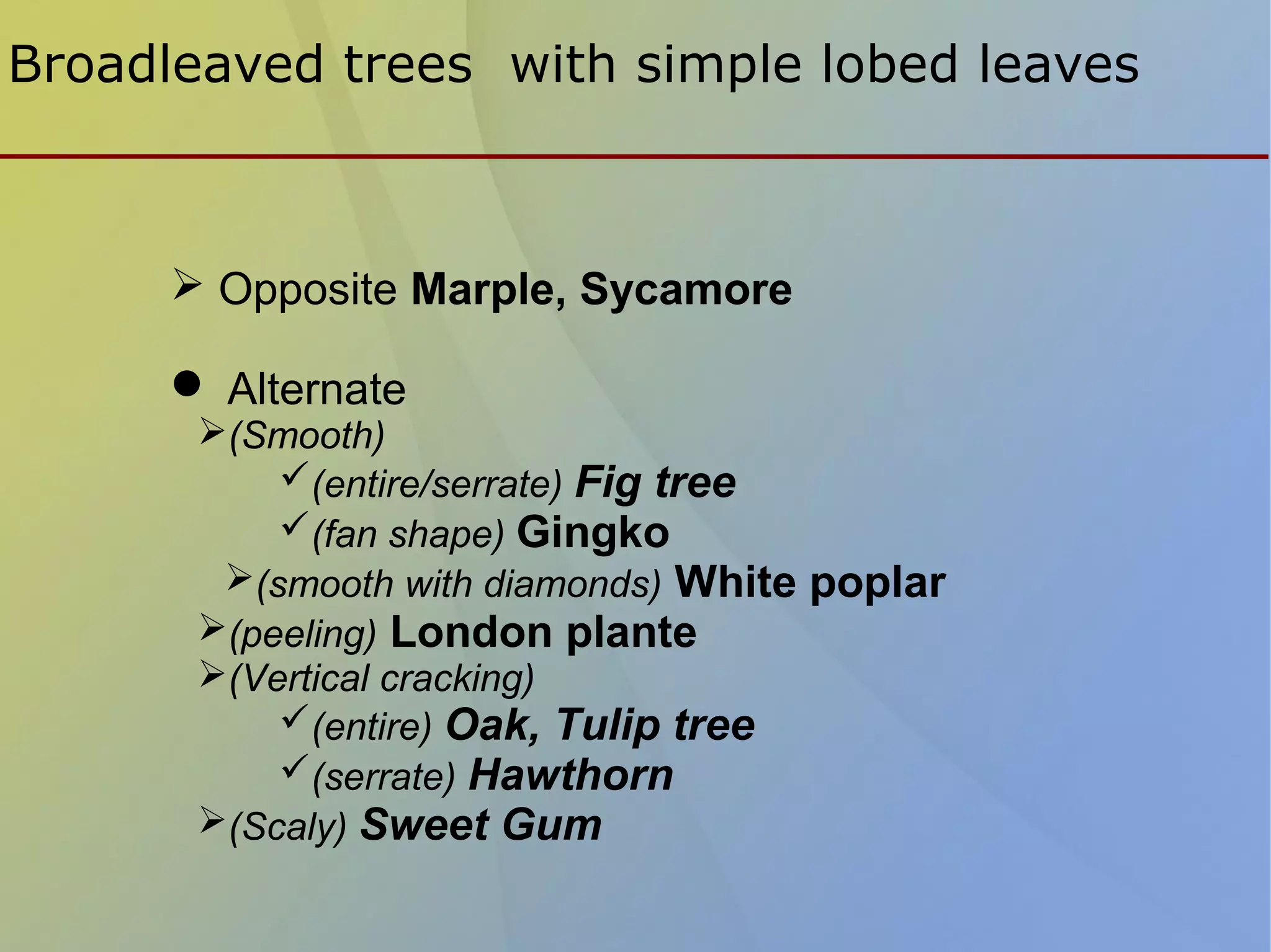 Classification of trees | PPT