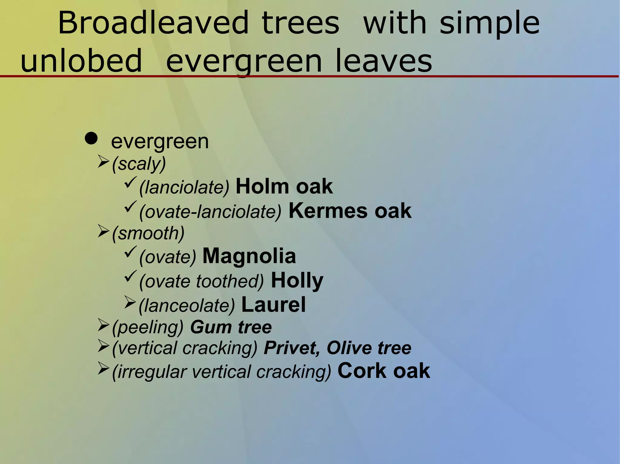 Classification of trees | PPT
