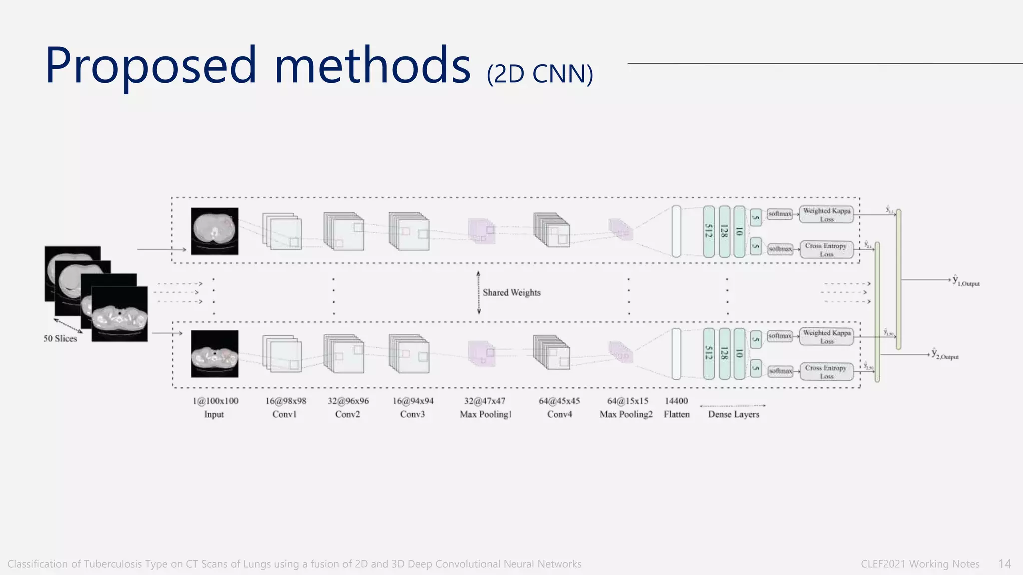 Classification of Tuberculosis Type on CT Scans of Lungs using a fusion of 2D and 3D Deep ...