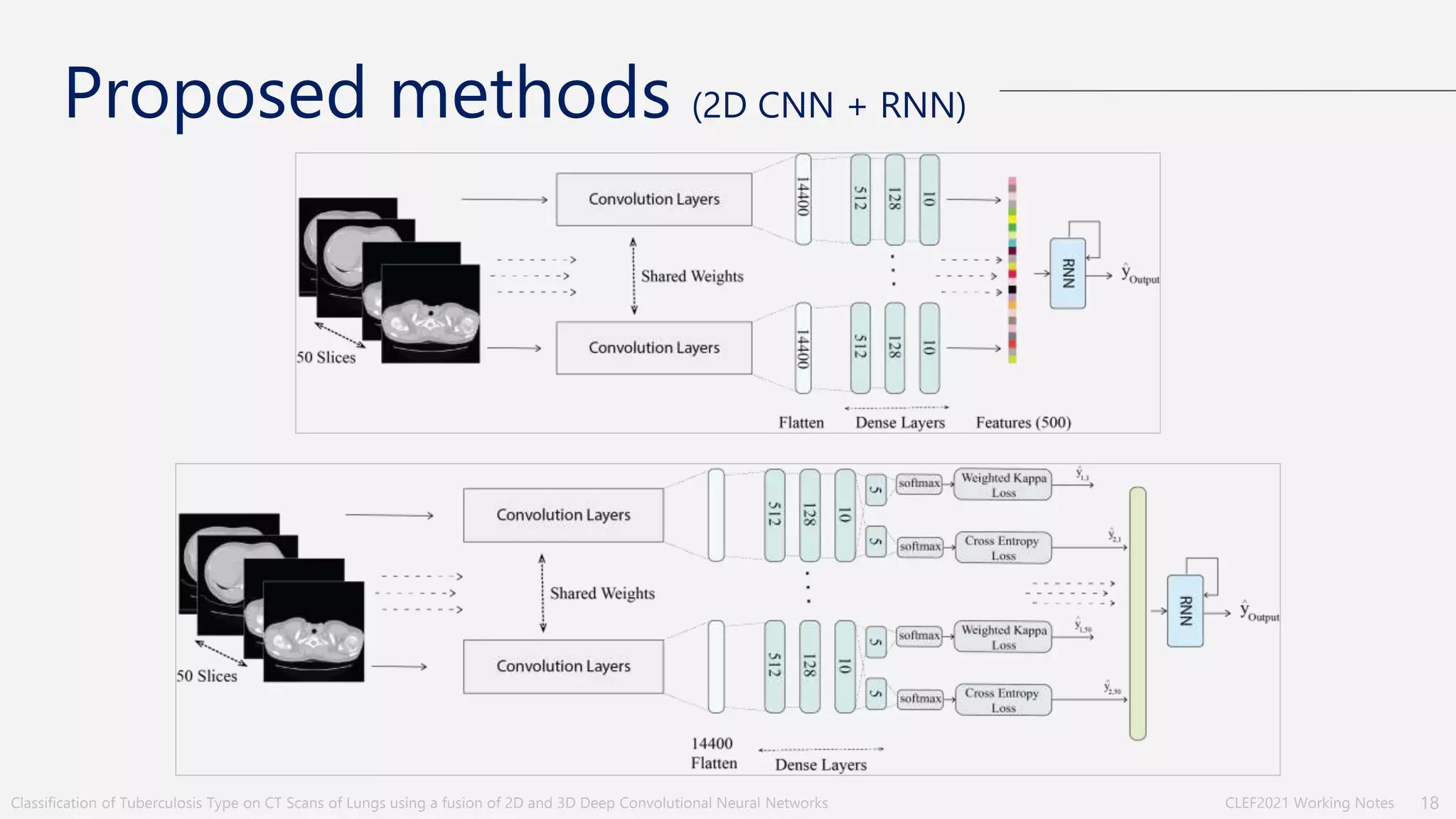 Classification of Tuberculosis Type on CT Scans of Lungs using a fusion of 2D and 3D Deep ...