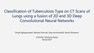 Classification of Tuberculosis Type on CT Scans of Lungs using a fusion of 2D and 3D Deep ...