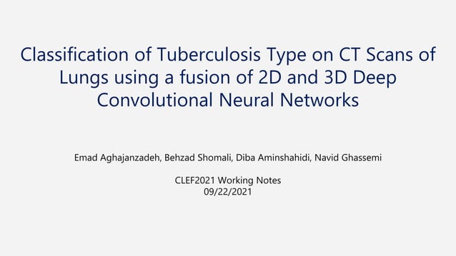 Classification of Tuberculosis Type on CT Scans of Lungs using a fusion of 2D and 3D Deep ...