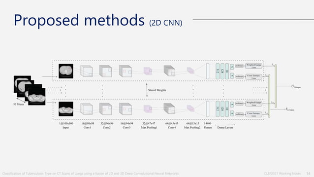Classification of Tuberculosis Type on CT Scans of Lungs using a fusion of 2D and 3D Deep ...
