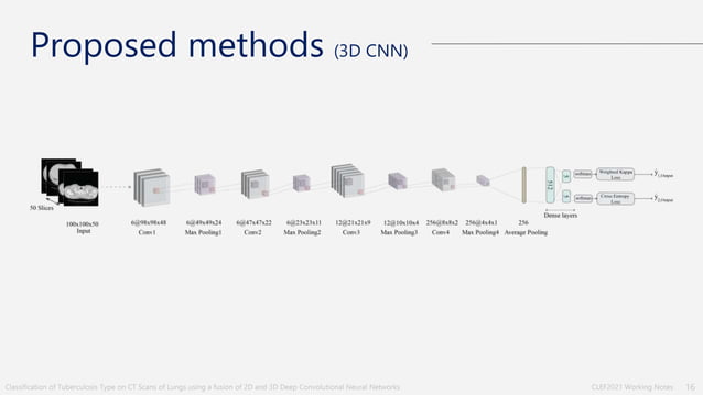 Classification of Tuberculosis Type on CT Scans of Lungs using a fusion of 2D and 3D Deep ...