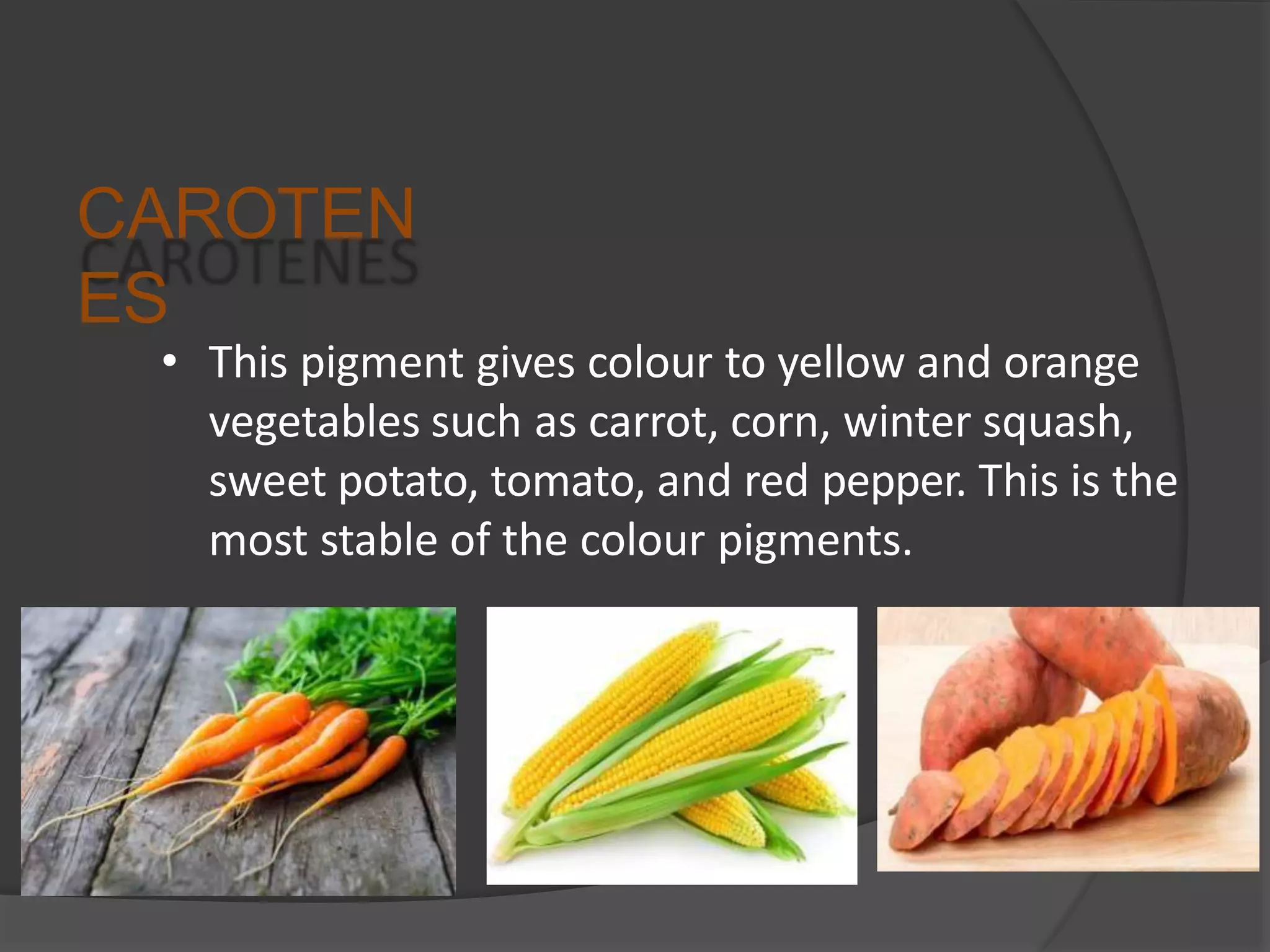 classification of vegetable.pptx