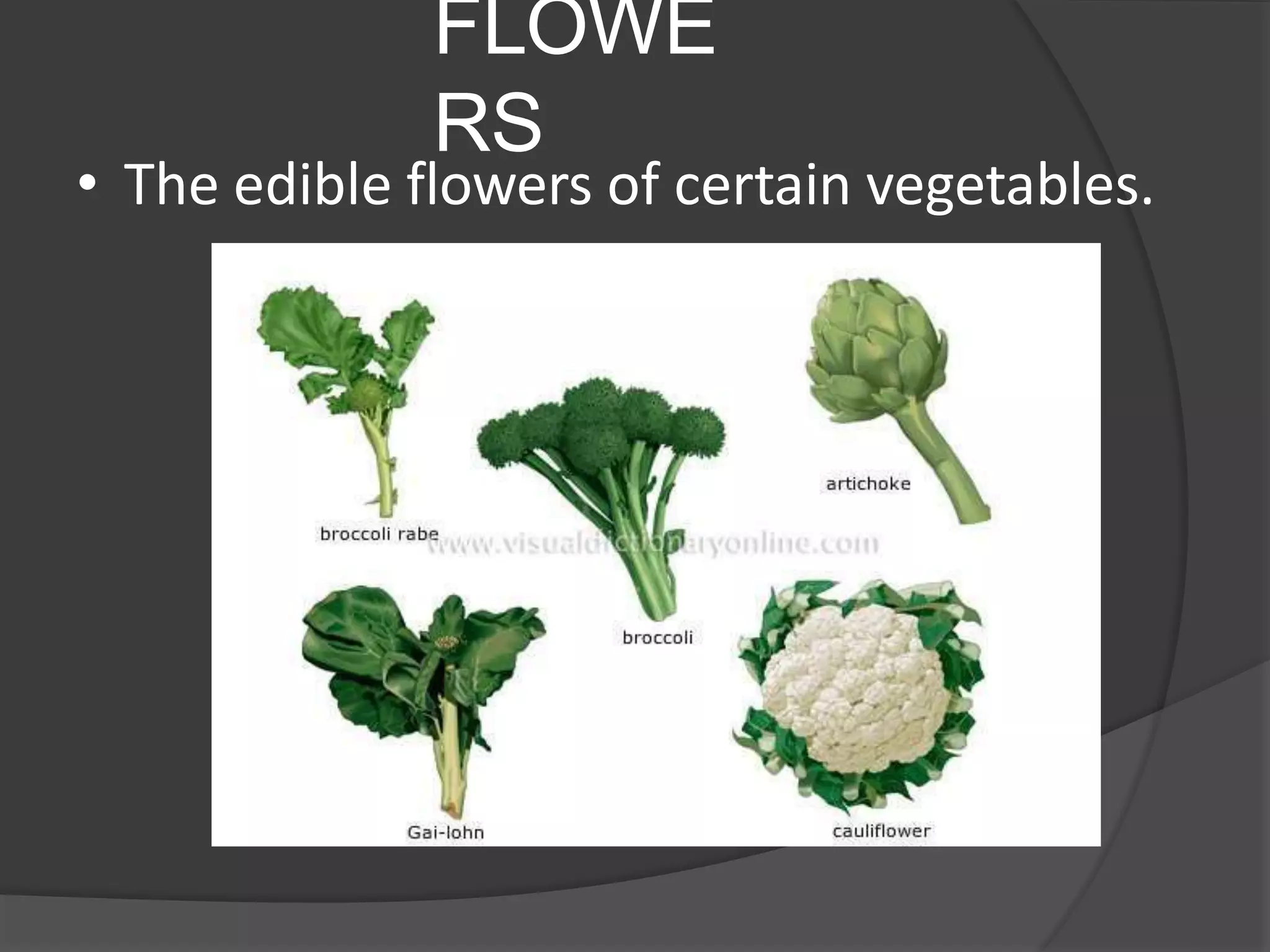 classification of vegetable.pptx