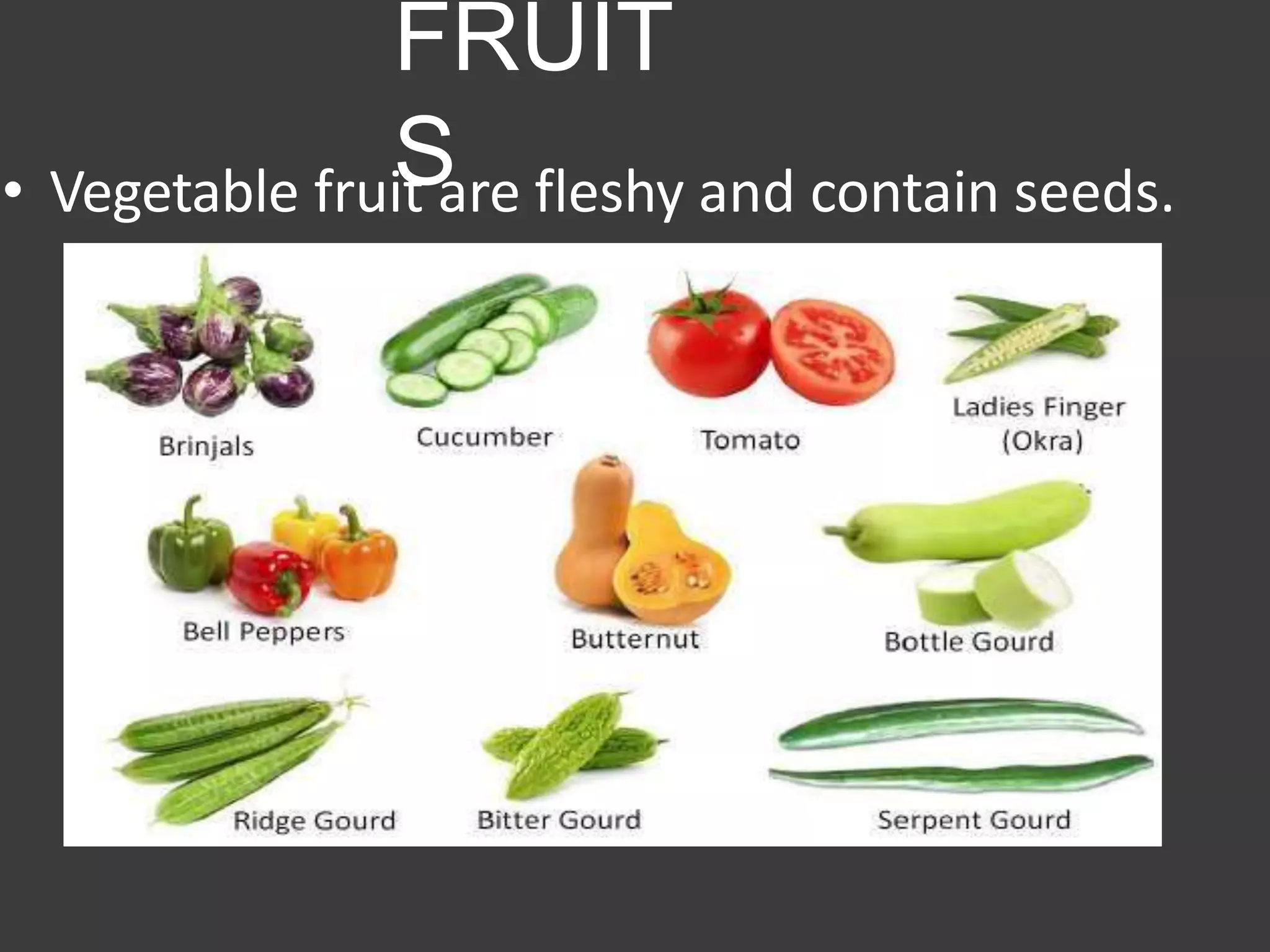 classification of vegetable.pptx