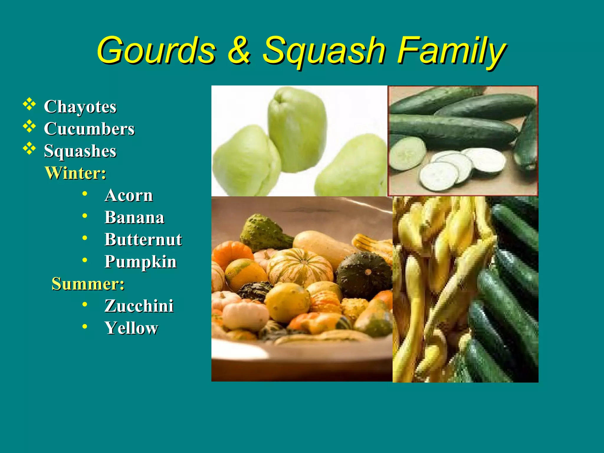 classification of vegetable | PDF