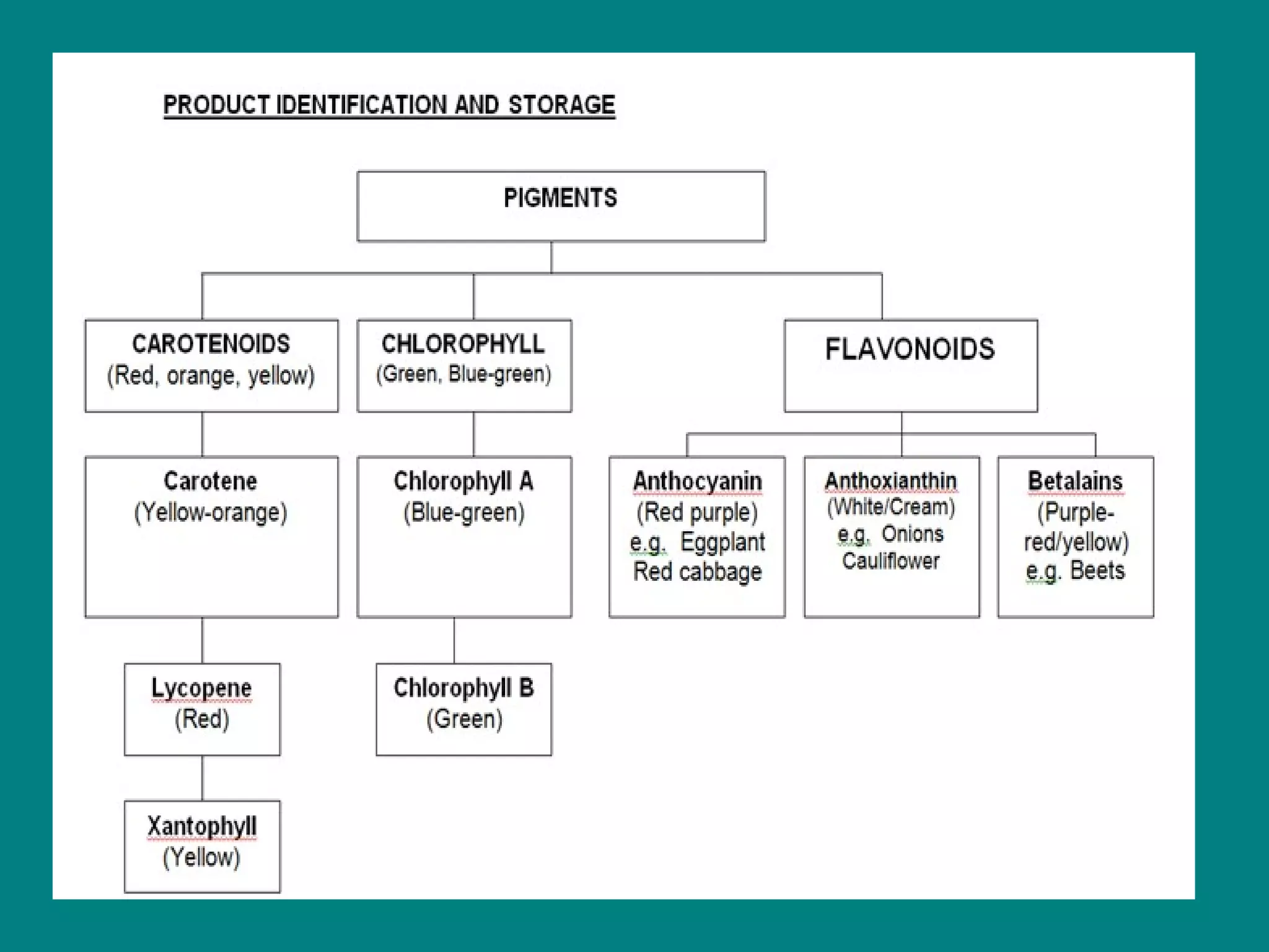 classification of vegetable | PDF