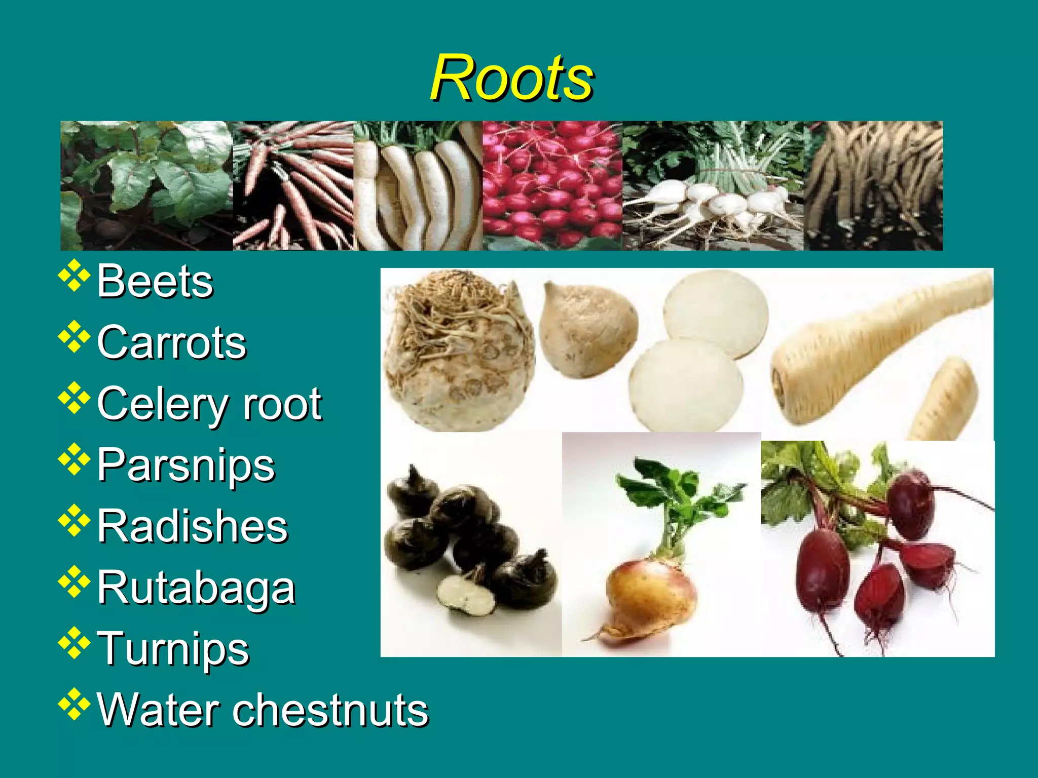 classification of vegetable | PDF