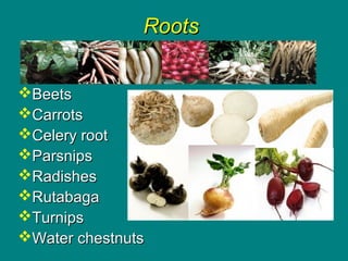 classification of vegetable | PDF