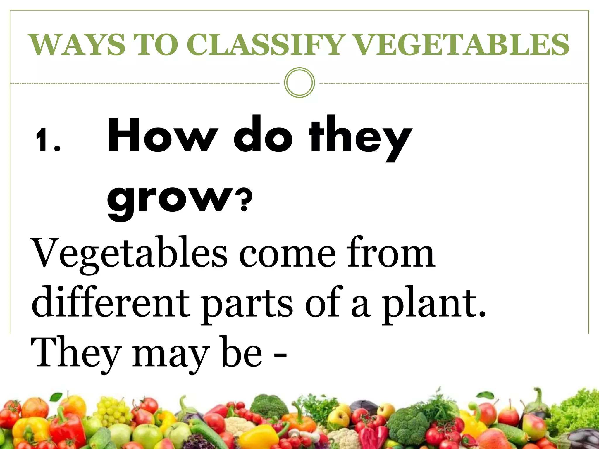 Classification of vegetables | PPTX