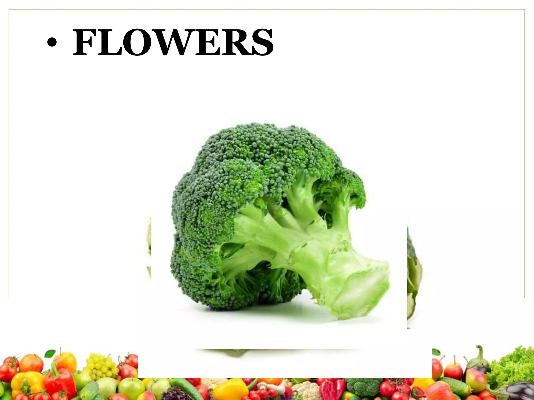 Classification of vegetables | PPTX