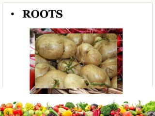 Classification of vegetables | PPTX