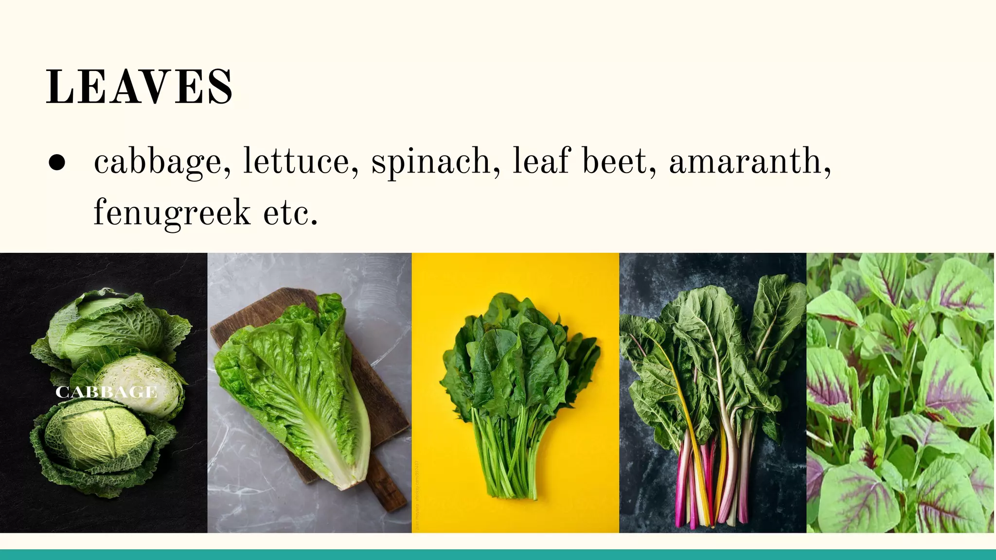 CLASSIFICATION OF VEGETABLES.pptx.pdf