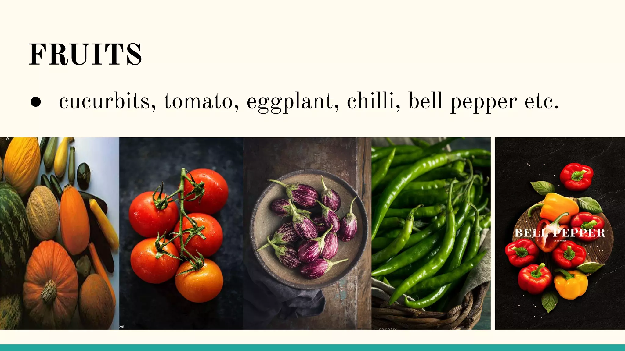 CLASSIFICATION OF VEGETABLES.pptx.pdf