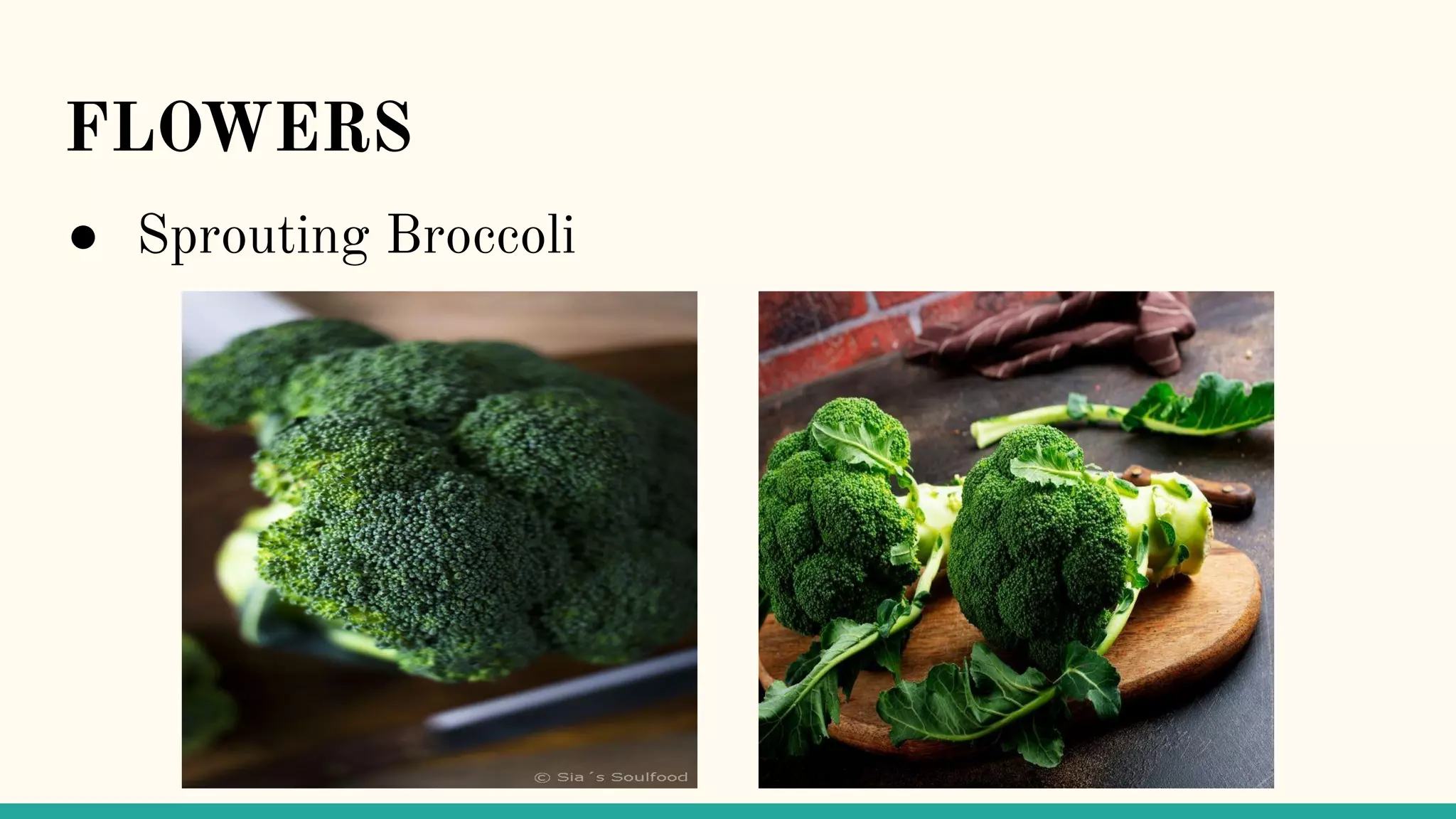 CLASSIFICATION OF VEGETABLES.pptx.pdf