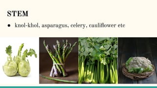CLASSIFICATION OF VEGETABLES.pptx.pdf