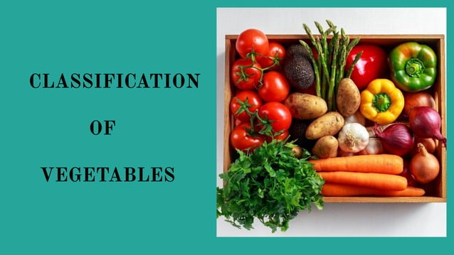 CLASSIFICATION OF VEGETABLES.pptx.pdf