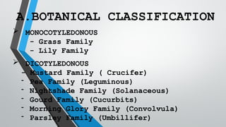 CLASSIFICATION AND TYPES OF VEGETABLES.pptx