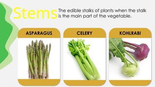 CLASSIFICATION OF VEGETABLES and its characteristics | PPTX