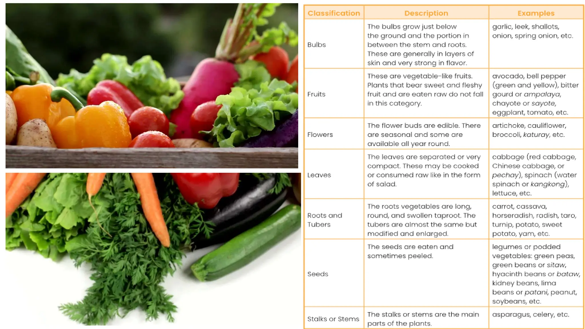 classification of vegetables -5-AVOCADO-GROUP 5 [Autosaved].pptx