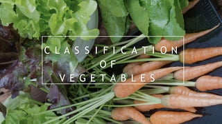classification of vegetables -5-AVOCADO-GROUP 5 [Autosaved].pptx