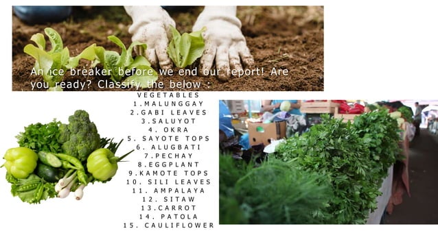 classification of vegetables -5-AVOCADO-GROUP 5 [Autosaved].pptx