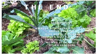 classification of vegetables -5-AVOCADO-GROUP 5 [Autosaved].pptx