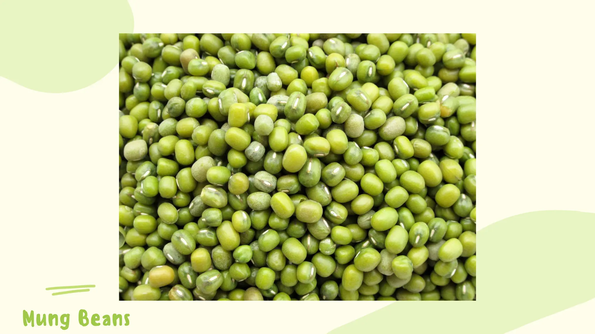 Classification of Vegetables According to Chemical Composition.pptx