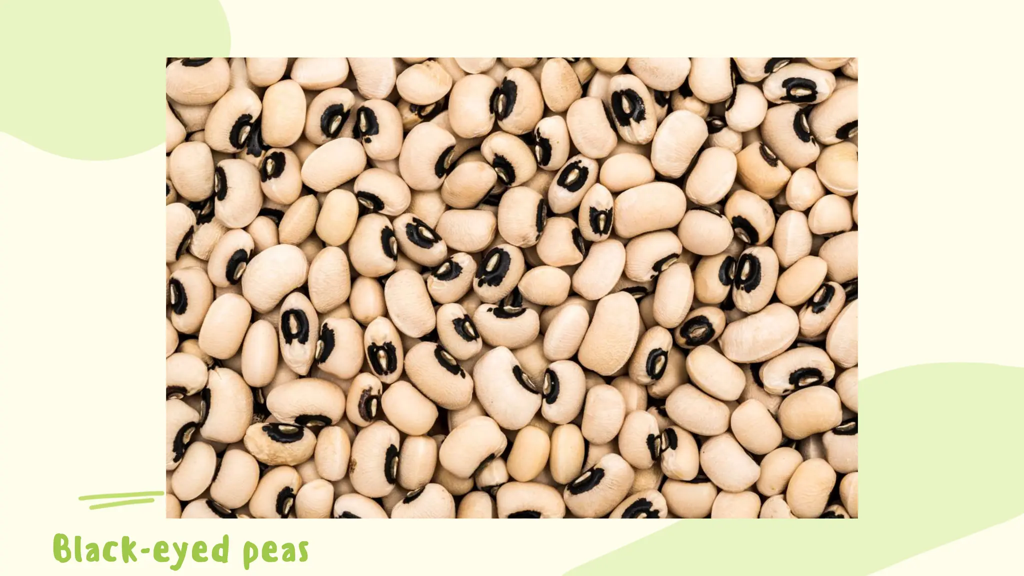 Classification of Vegetables According to Chemical Composition.pptx