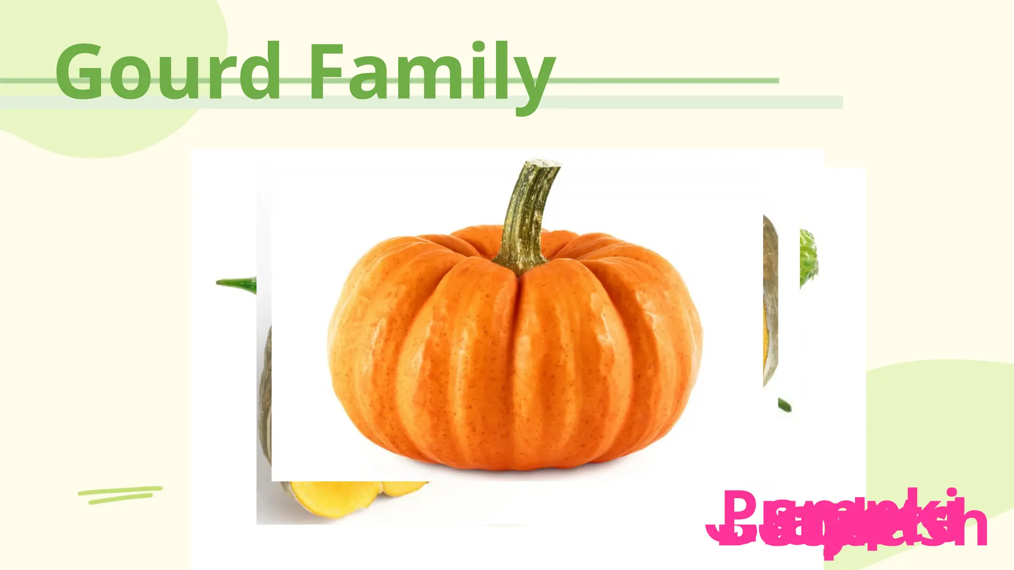 Classification of Vegetables According to Family and Parts Being Eaten.pptx