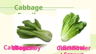 Classification of Vegetables According to Family and Parts Being Eaten.pptx