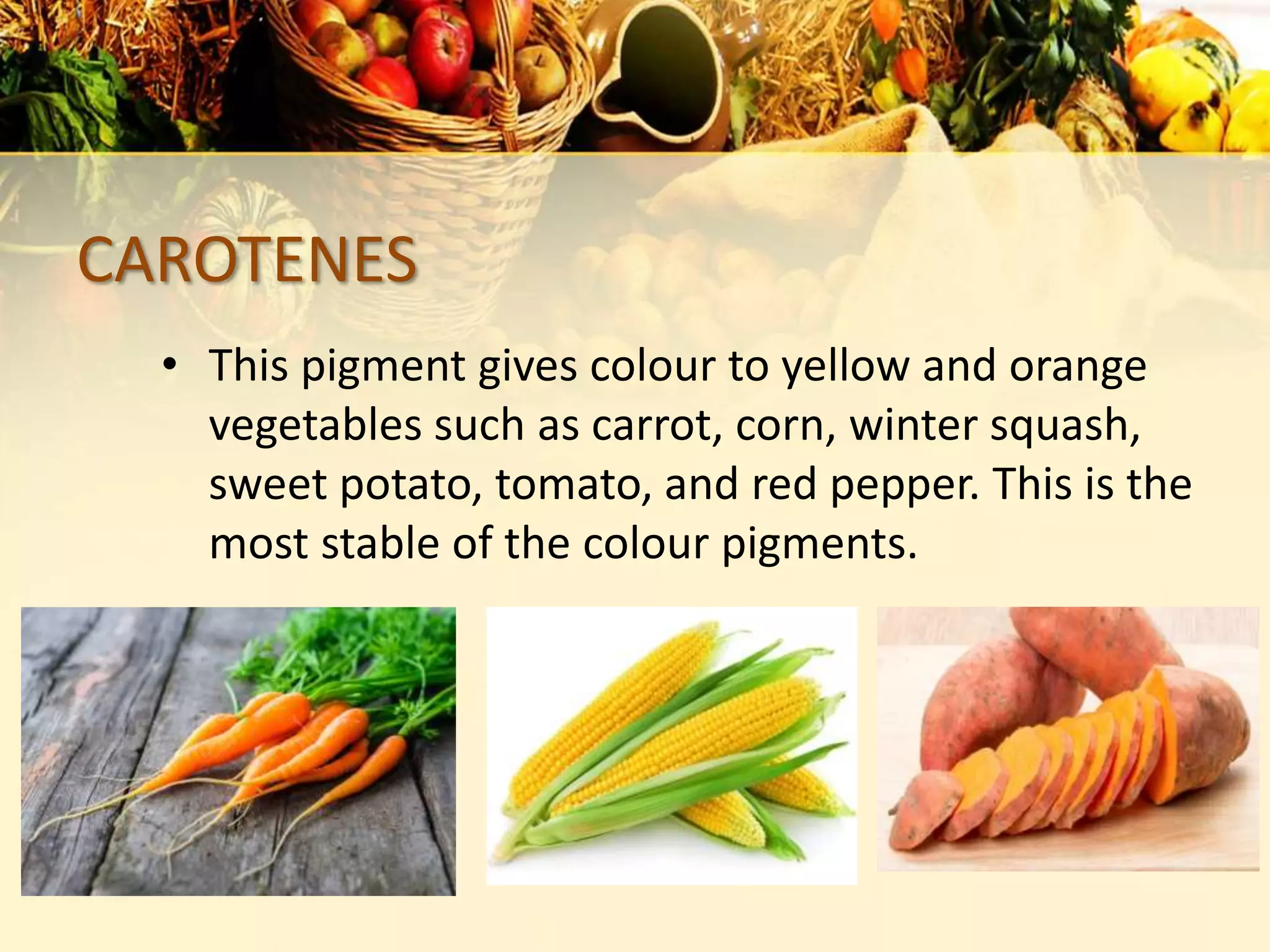 classificationofvegetablesgr-10unit3-171026151334.pdf