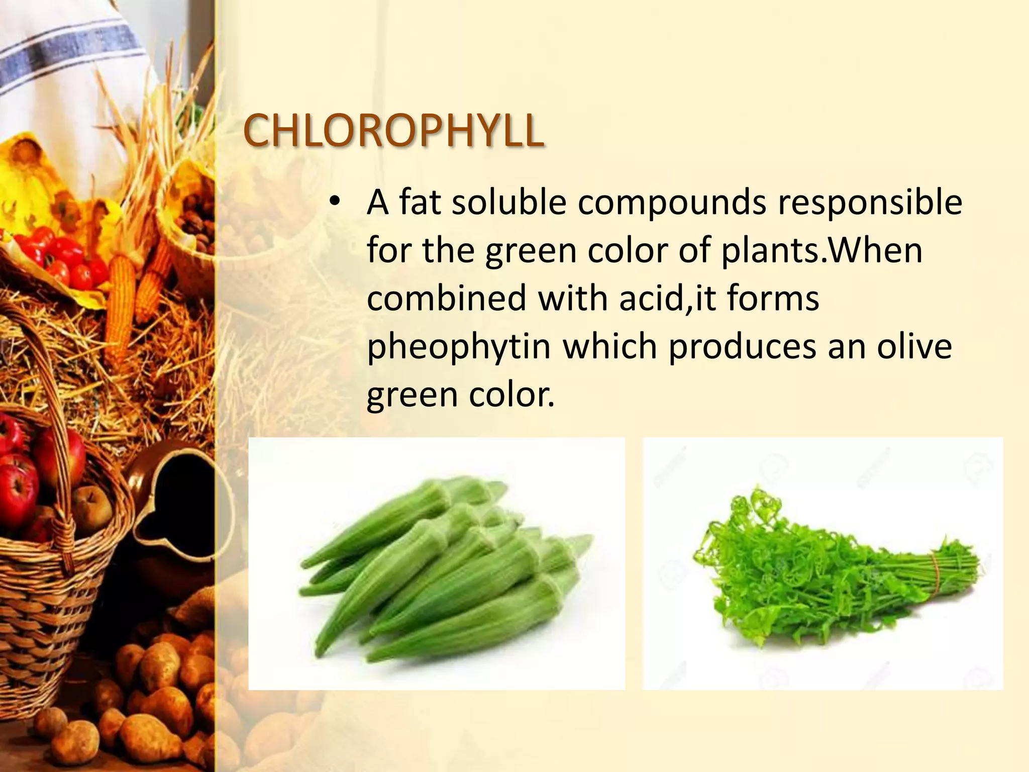 Vegetables Gr-10 unit 3 | PPTX