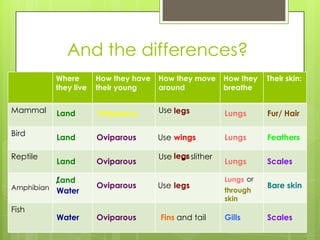 Classification of vertebrate animals | PPTX