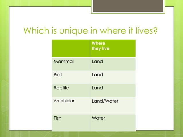 Classification of vertebrate animals | PPTX