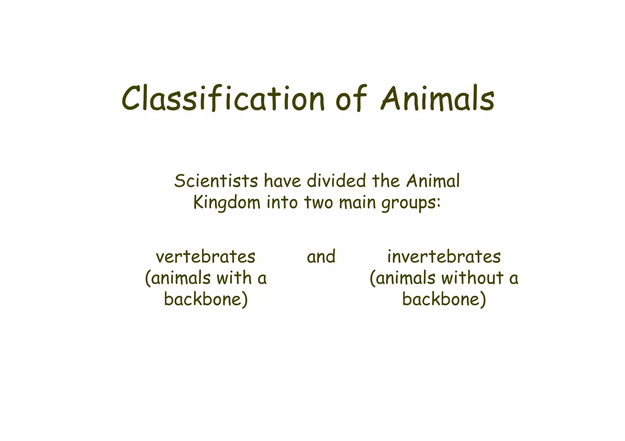 Classification of vertebrates | PPT