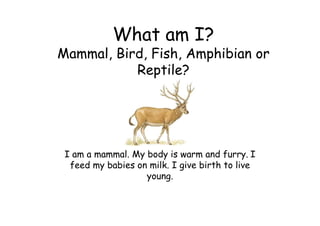 Classification of vertebrates | PPT