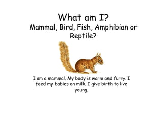 Classification of vertebrates | PDF