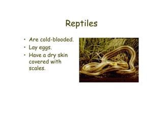 Classification of vertebrates | PDF