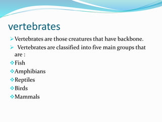 Classification of vertebrates.pptx