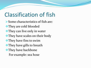 Classification of vertebrates.pptx