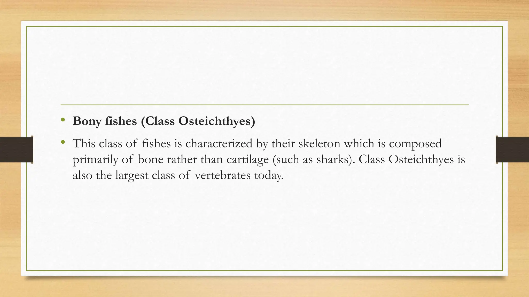 CLASSIFICATION OF VERTEBRATES ANIMALS.pptx | Fish and Aquariums | Pets