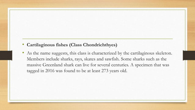 CLASSIFICATION OF VERTEBRATES ANIMALS.pptx | Fish and Aquariums | Pets