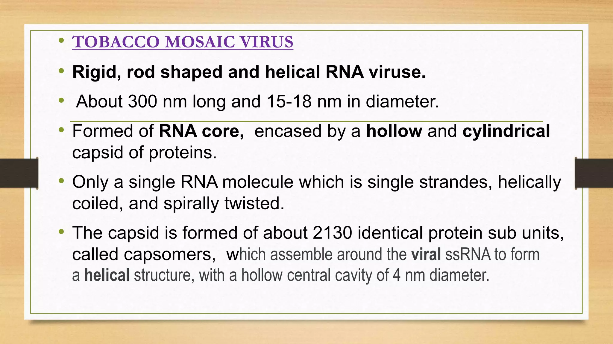 Classification of virus, symmetry | PPTX