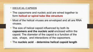 Classification of virus, symmetry | PPTX