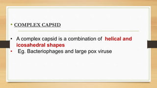 Classification of virus, symmetry | PPTX