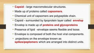 Classification of virus, symmetry | PPTX